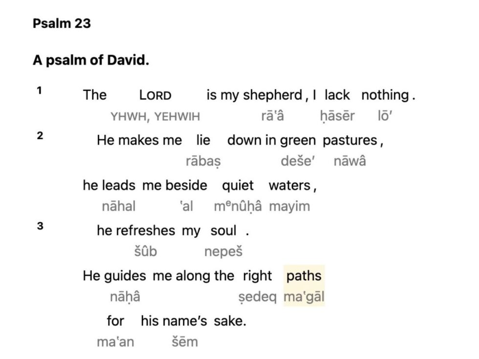 20+ Resources for Studying the Psalms | Beth Foreman